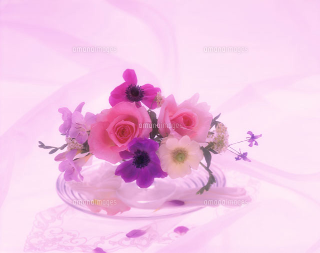 フラワーアレンジ[02022023593]の写真素材・イラスト素材｜アマナイメージズ