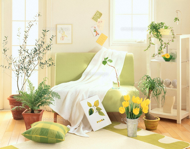 グリーンソファとグリーン[02022046243]の写真素材・イラスト素材｜アマナイメージズ