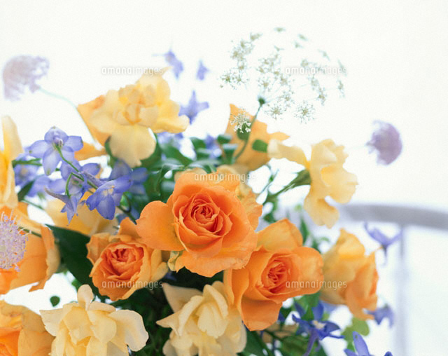 ブーケ[02022090492]の写真素材・イラスト素材｜アマナイメージズ