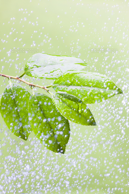 水しぶき[10131065049]の写真素材・イラスト素材｜アマナイメージズ
