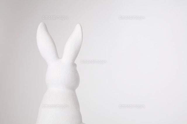 Rear view of a white rabbit[11015183797]の写真素材・イラスト素材｜アマナイメージズ