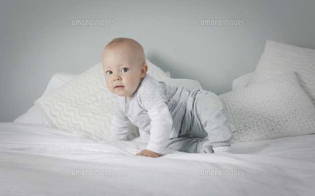 Baby boy crawling on bed[11015225292]の写真素材・イラスト素材｜アマナイメージズ