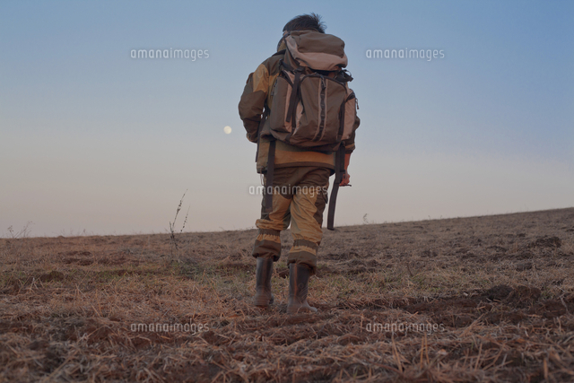 Mid adult man walking through field, rear view, low angle view ...