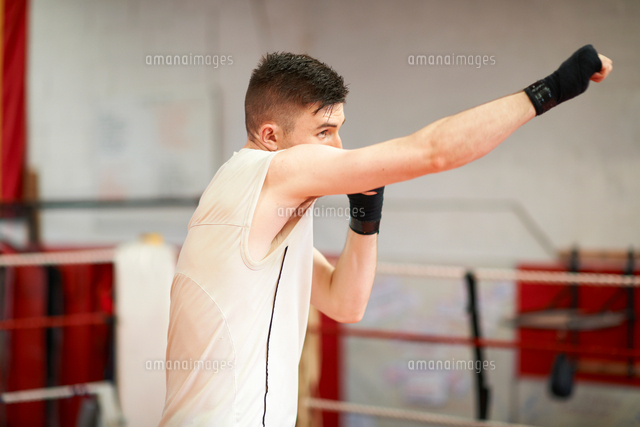 Boxer practising in boxing ring[11015288962]の写真素材・イラスト素材｜アマナイメージズ