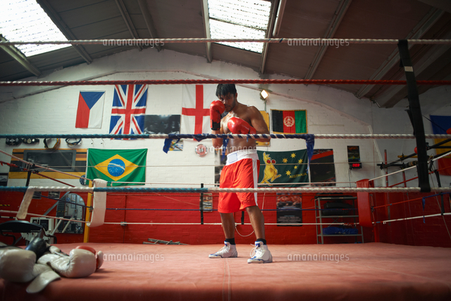 Portrait of boxer in boxing ring[11015288994]の写真素材・イラスト素材｜アマナイメージズ
