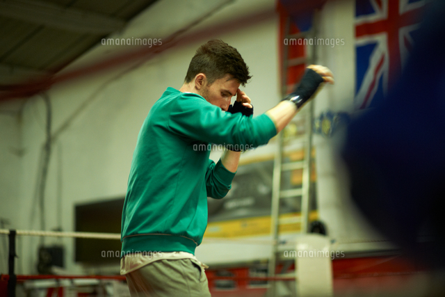Boxer practising in boxing ring[11015289003]の写真素材・イラスト素材｜アマナイメージズ