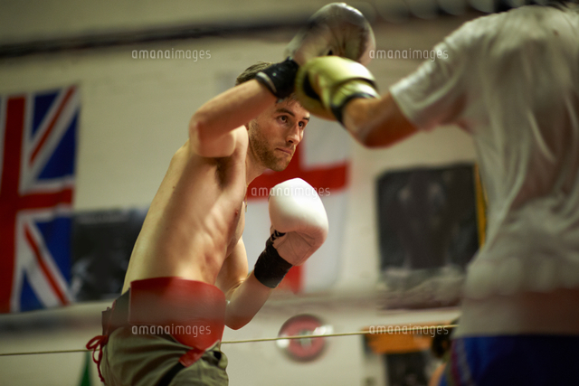 Two boxers sparring in boxing ring[11015289013]の写真素材・イラスト素材｜アマナイメージズ