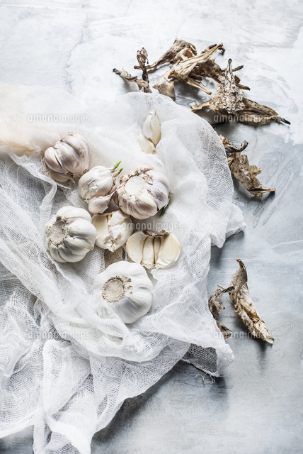Studio shot, overhead view of garlic bulbs on muslin[11015307833]の写真素材 ...