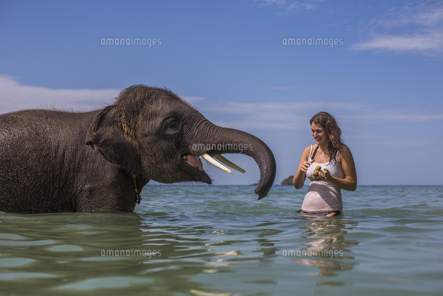 Side view of elephant splashing a woman in water[11016035298]の写真素材・イラスト ...