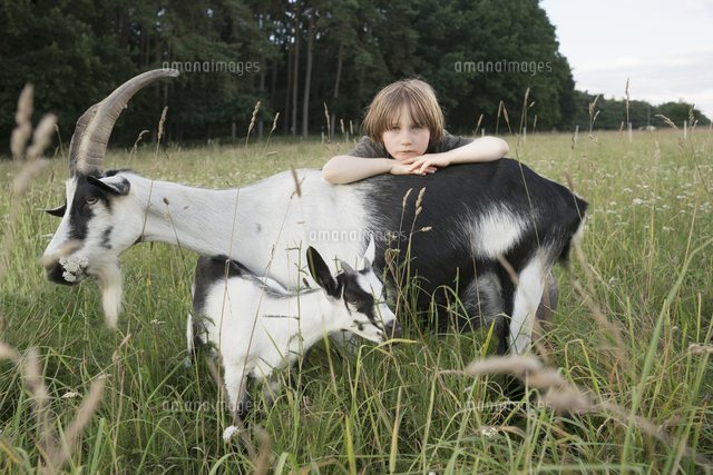 Portrait girl leaning on goat in rural field[11016039728]の写真素材・イラスト素材 ...