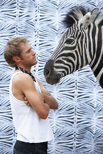 Man with Zebra[11030013939]の写真素材・イラスト素材｜アマナイメージズ
