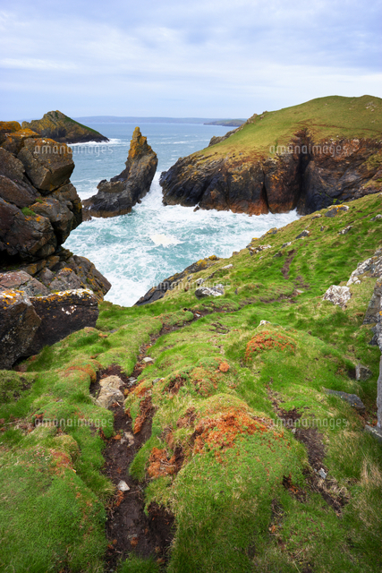 Foot Path along Grassy Slopes of Sea Cliffs, Rumps Point, Co ...