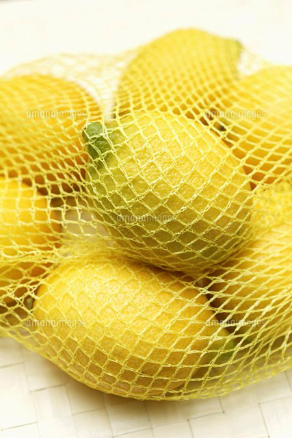 Several lemons in net[11047034370]の写真素材・イラスト素材｜アマナイメージズ