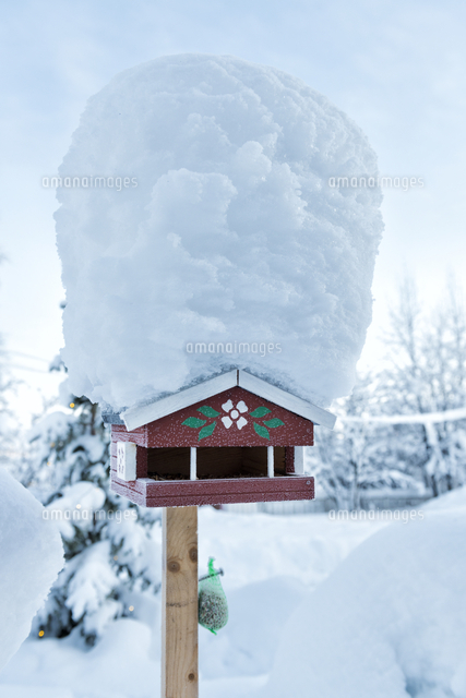 Bird table covered by snow[11077009937]の写真素材・イラスト素材｜アマナイメージズ