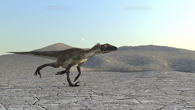 Utahraptor running across a desert landscape.[11079022053]の写真素材・イラスト素材 ...