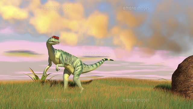 Dilophosaurus hunting in an open field.[11079022216]の写真素材・イラスト素材｜アマナイメージズ
