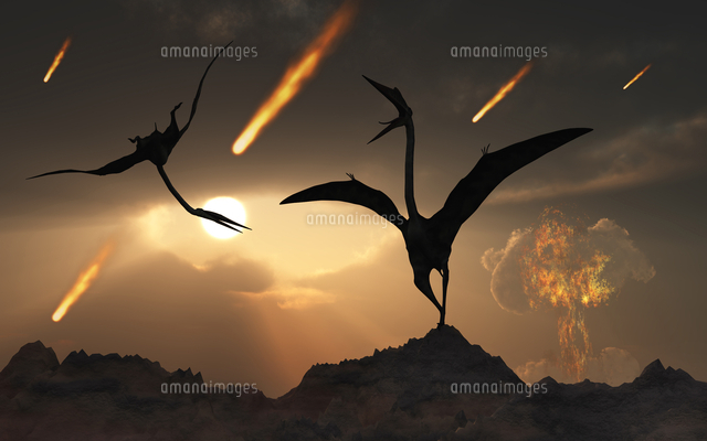 Eomanis waldi is a pangolin from the Eocene epoch of Germany ...