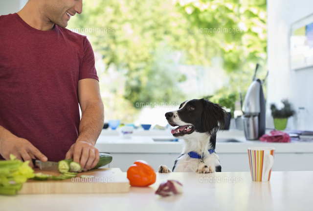 Man cooking with dog in kitchen[11086003025]の写真素材・イラスト素材｜アマナイメージズ