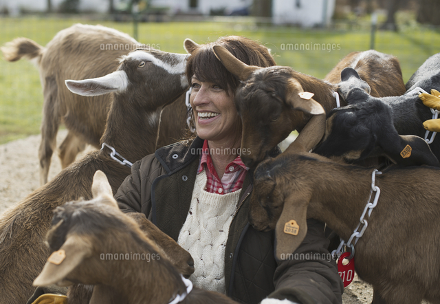 Farmer working and tending to the animals.[11093000630]の写真素材・イラスト素材｜アマナ ...