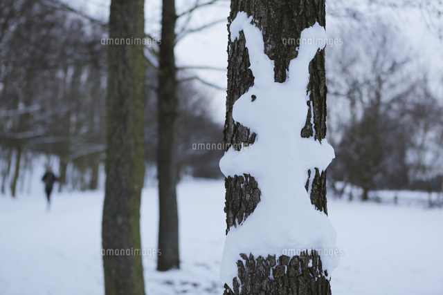 Rabbit made of snow at tree trunk[11094023889]の写真素材・イラスト素材｜アマナイメージズ