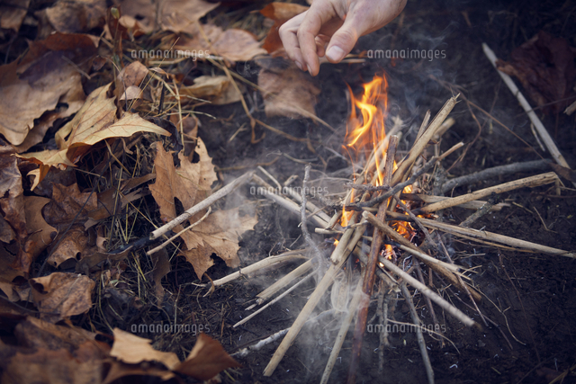 Young man lighting bonfire in forest[11100008366]の写真素材・イラスト素材｜アマナイメージズ