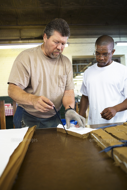 Garment factory worker training new employee[11100012077]の写真素材・イラスト素材 ...