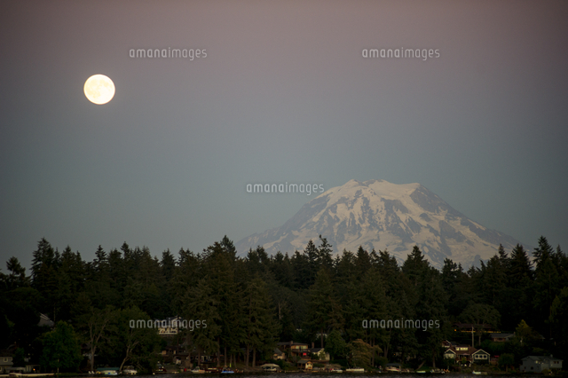 Scenic view of moon shining over trees and snowcapped mountain ...
