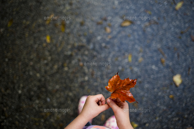 Cropped Image Of Girl Holding Maple Leaf While Standing On Wet Road