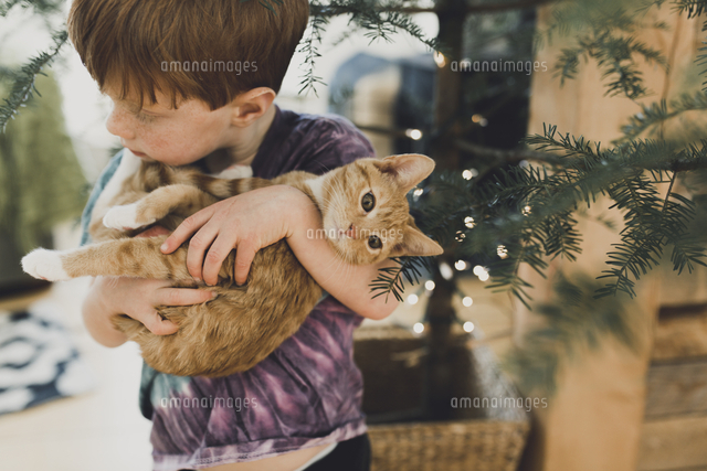 High angle view of boy carrying cute kitten while standing by plant at ...