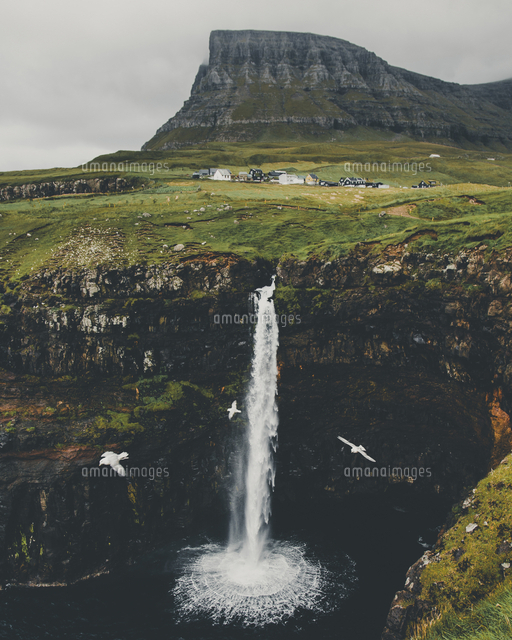 Birds flying over waterfall against cloudy sky[11100088909]の写真素材・イラスト素材 ...