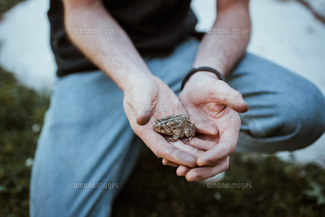 Close-up of man holding a toad[11100118688]の写真素材・イラスト素材｜アマナイメージズ