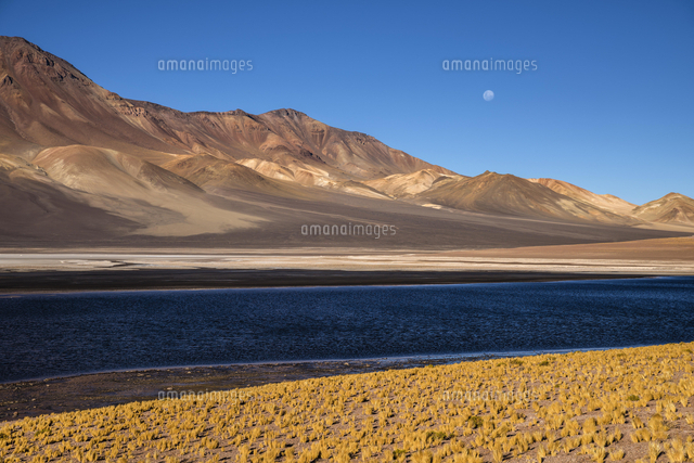 Andean Plain, Puna Grasland, lake and mountain range, the[11102004528]の ...