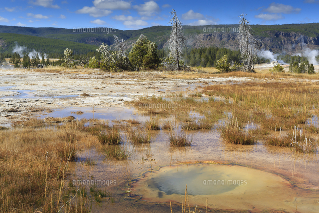 Trees crusted in frost and thermal features, cold Autumn (Fall) day ...