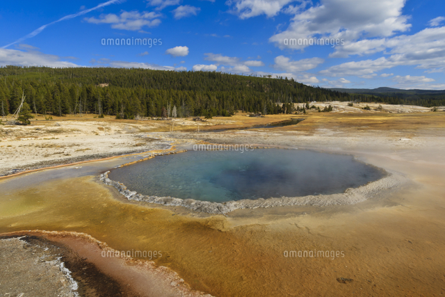 Crested Pool; hot spring; Upper Geyser Basin, Yellowstone National Park ...