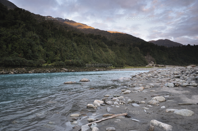 Whataroa River, West Coast, South Island, New Zealand[11104016140]の写真素材 ...