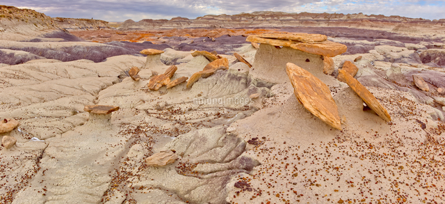 Sand Castle formations on the edge of the Red Basin in Petrified Forest ...