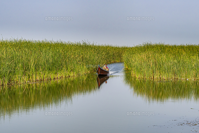 Little boat in the Mesopotamian Marshes, The Ahwar of Southern Iraq ...