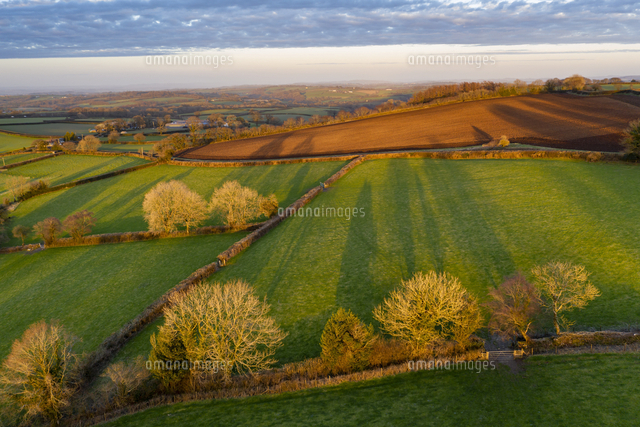 Aerial vista of Dartmoor countryside in rich evening sunlight in spring ...