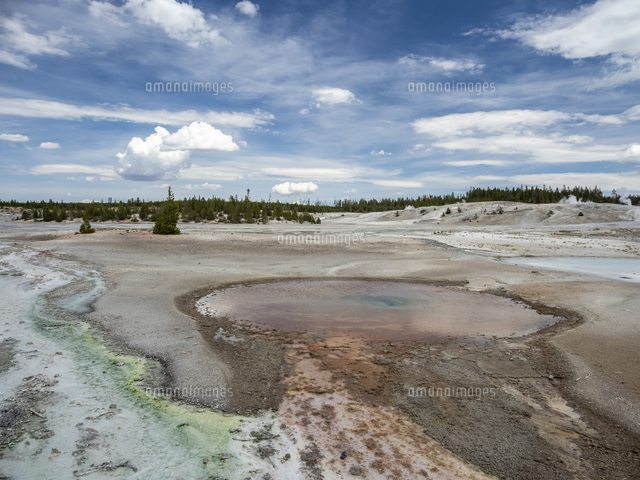 Porcelain Basin, in the Norris Geyser Basin area, Yellowstone National ...