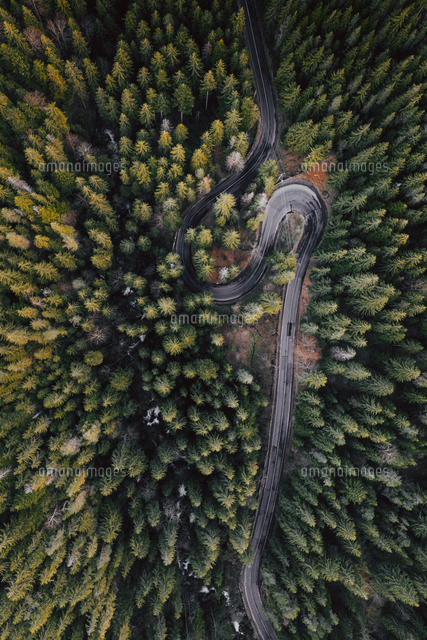 High Angle View Of Road Amidst Trees In Forest[11115179178]の写真素材・イラスト素材 ...