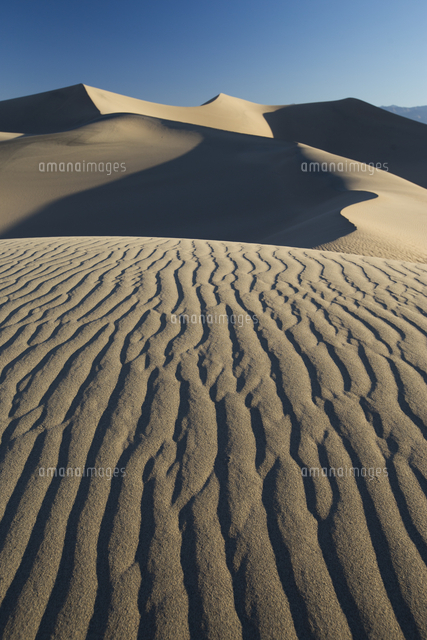 Scenic View Of Sand Dunes Against Sky[11115191614]の写真素材・イラスト素材｜アマナイメージズ