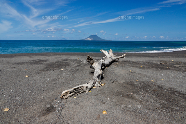 Driftwood On Beach[11115203246]の写真素材・イラスト素材｜アマナイメージズ