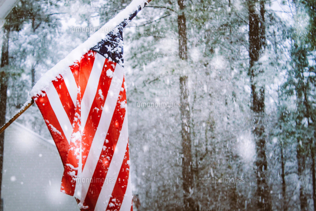 American Flag During Winter[11115216106]の写真素材・イラスト素材｜アマナイメージズ