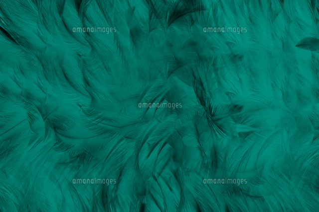 Full Frame Shot Of Abstract Pattern[11115216578]の写真素材・イラスト素材｜アマナイメージズ