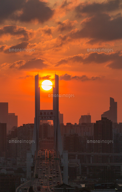 Nanpu Bridge at the sunset; Shanghai;China[11116004210]の写真素材・イラスト素材｜アマナ ...