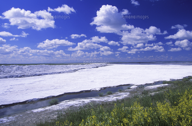 Trans Canada Highway, salt laden flats, Saskatchewan, Canada ...