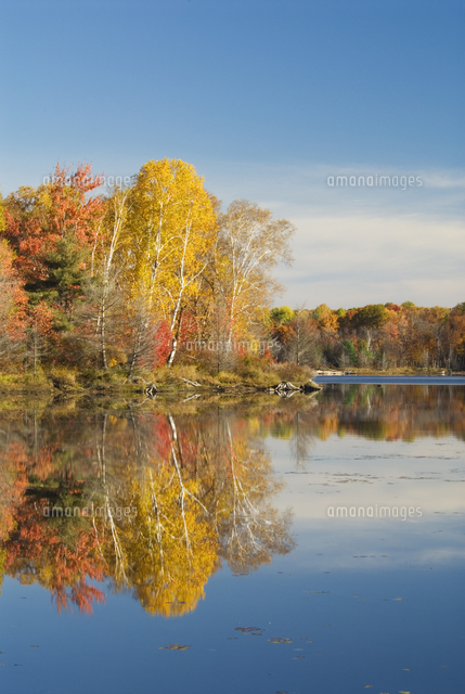 Autumn trees reflecting in Liebeck Lake along the Seguin Trail in ...