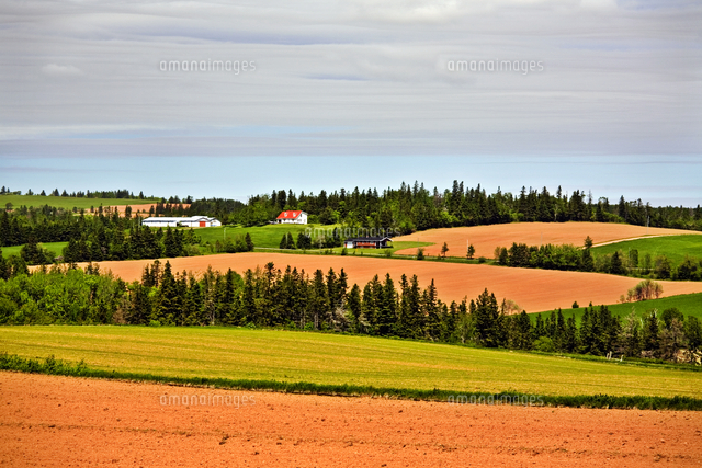 Rural landscape along the Trans-Canada Highway, Prince Edward Island ...