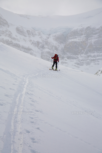 A skier uptracking on the Wapta Icefields, Banff National Park, Alberta ...