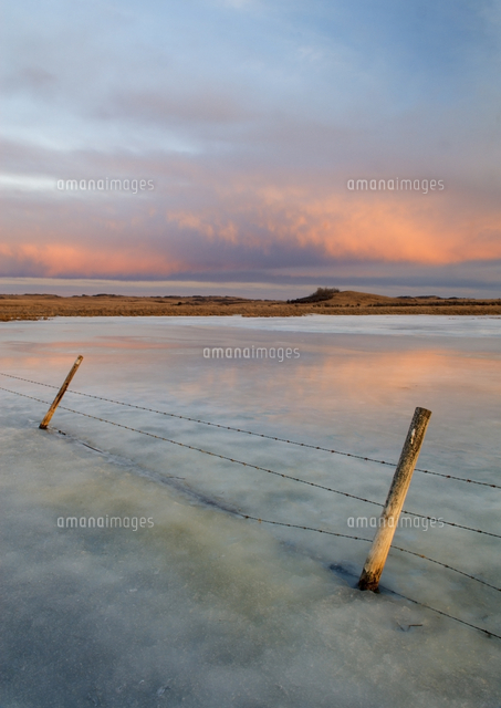 Frozen slough and fence, near Cochrane, Alberta, Canada[11118010293]の写真 ...